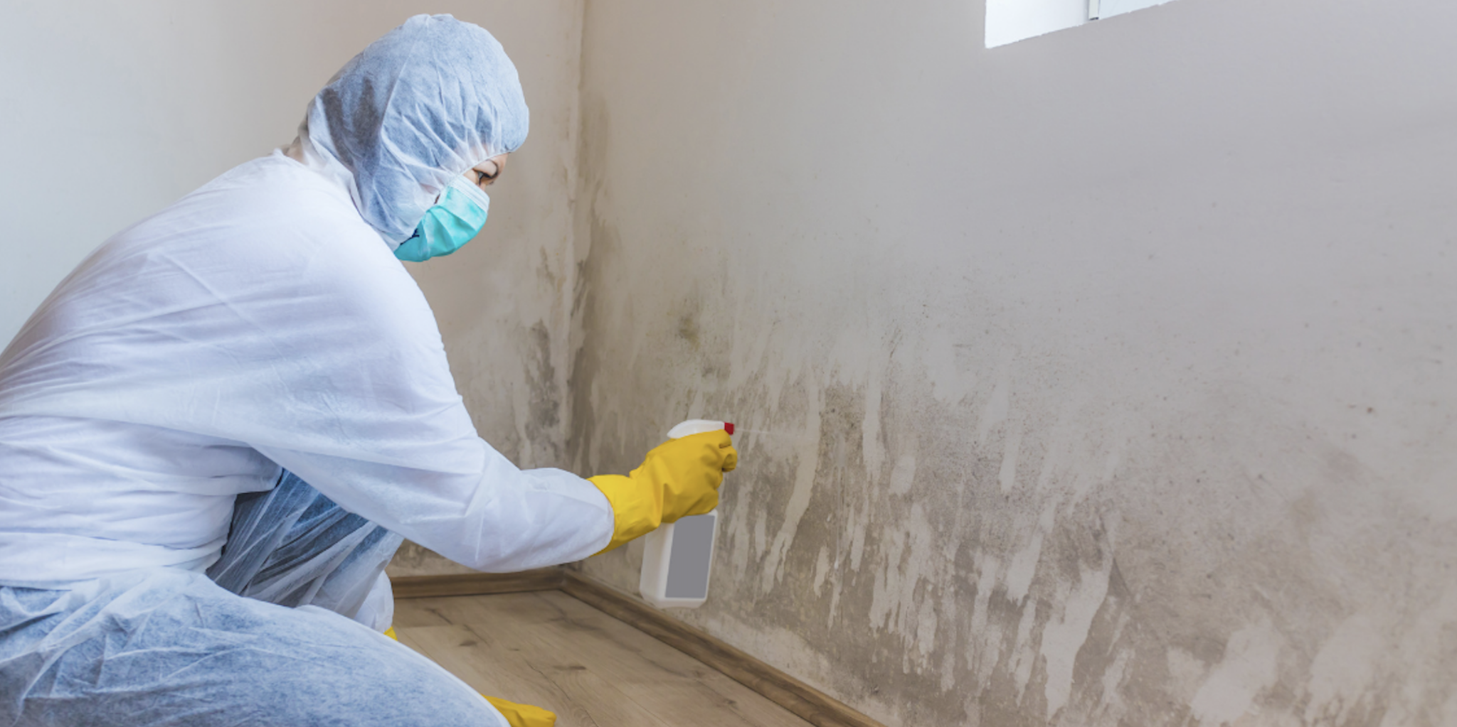 Unmasking the 10 Warning Signs of Mold Toxicity